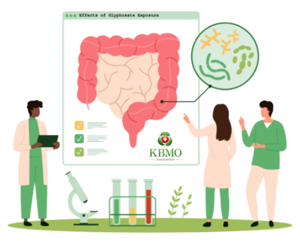 Glyphosate Exposure Test | KBMO Diagnostics